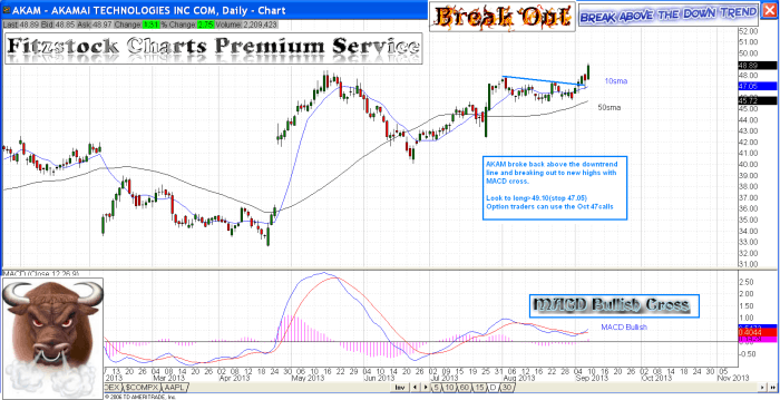 AKAM - Fitzstock Charts