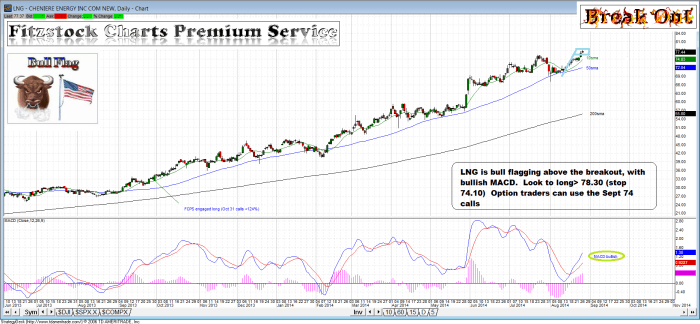 LNG - Fitzstock Charts