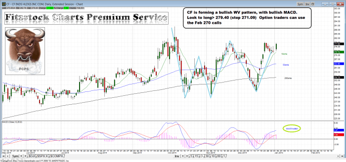 CF - Fitzstock Charts